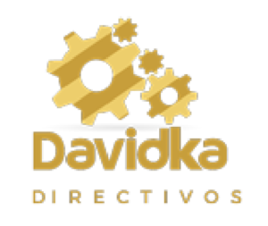 Davidka – SOY ICT